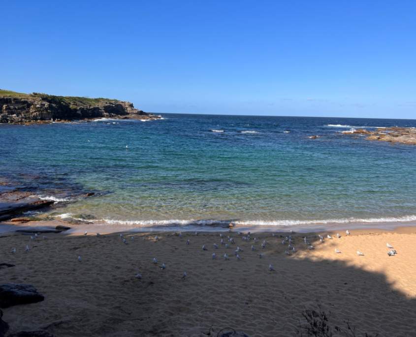 Little Bay Beach: Sydney's Hidden Gem - AdventureHQ | Travel