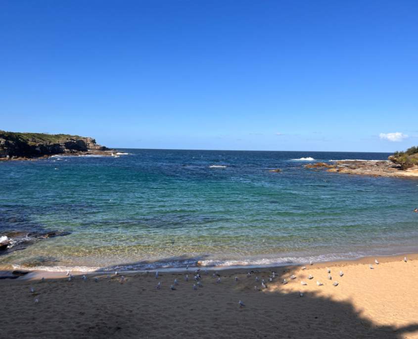 Little Bay Beach: Sydney's Hidden Gem - AdventureHQ | Travel