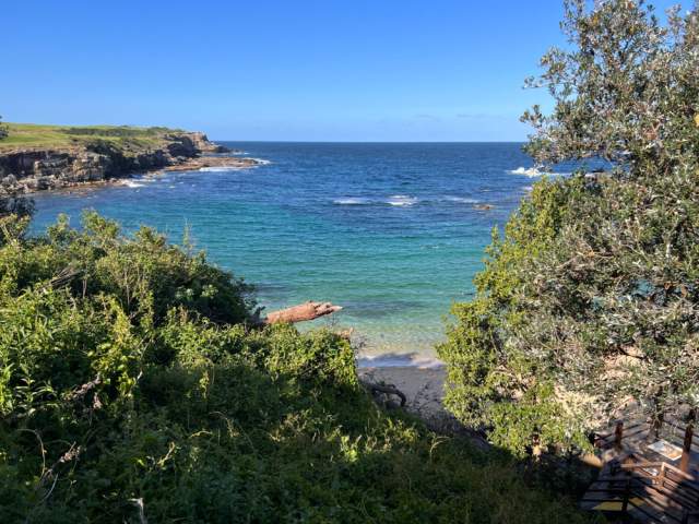 Little Bay Beach: Sydney's Hidden Gem - AdventureHQ | Travel