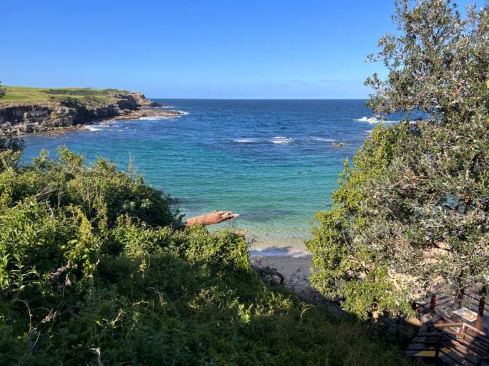 Little Bay Beach: Sydney's Hidden Gem - AdventureHQ | Travel