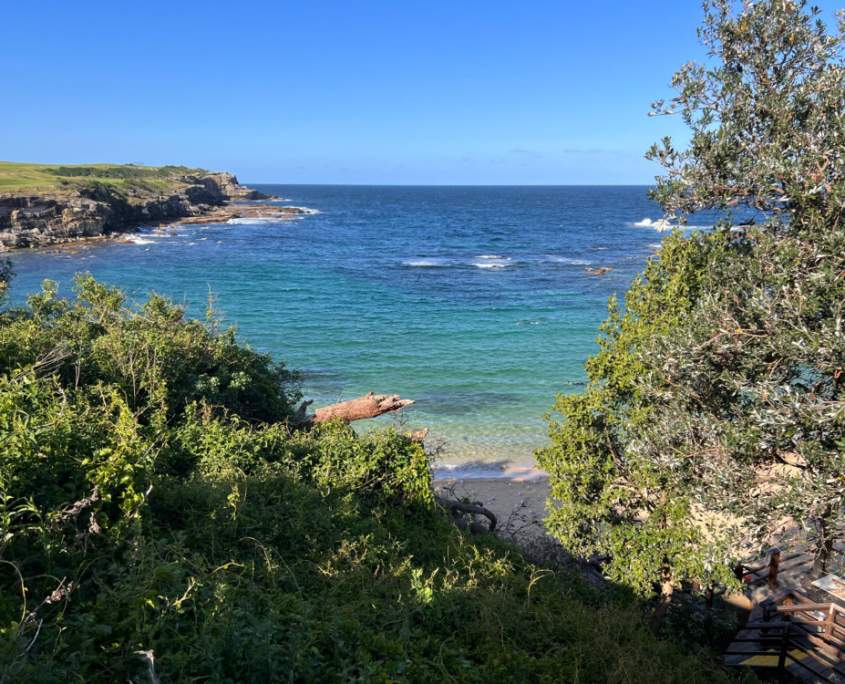 Little Bay Beach: Sydney's Hidden Gem - AdventureHQ | Travel