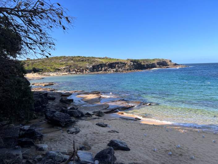 Little Bay Beach: Sydney's Hidden Gem - AdventureHQ | Travel