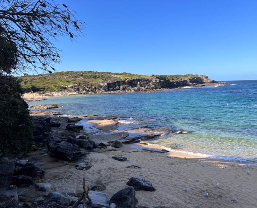 Little Bay Beach: Sydney's Hidden Gem - AdventureHQ | Travel