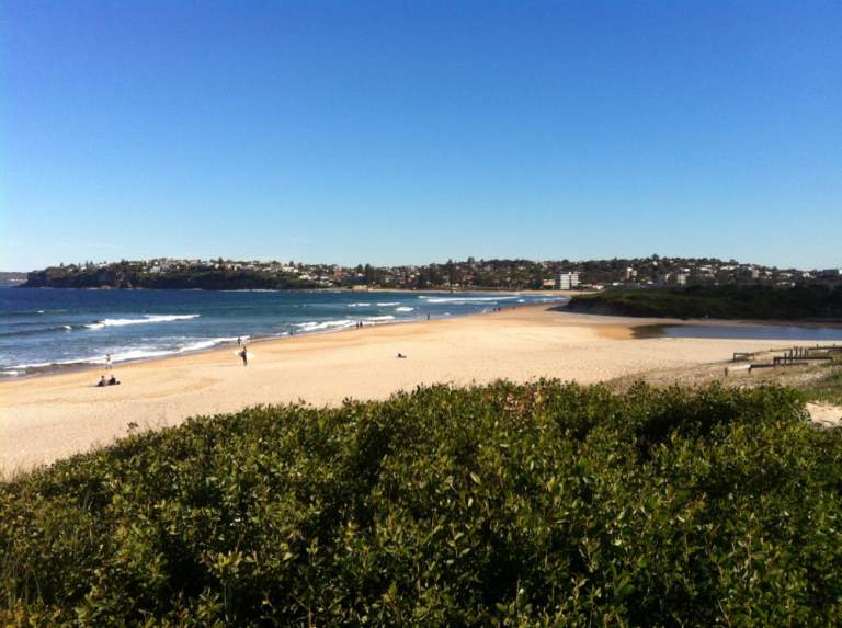 Long Reef Beach: A Complete Guide to Sydney's Coastal Gem - AdventureHQ