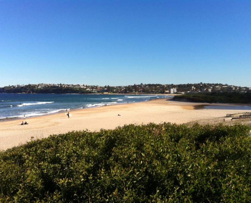 Long Reef Beach: A Complete Guide to Sydney's Coastal Gem - AdventureHQ