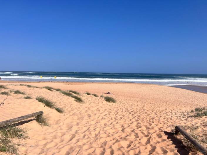 Long Reef Beach: A Complete Guide to Sydney's Coastal Gem - AdventureHQ