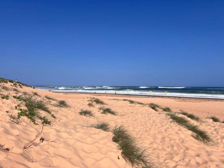 Long Reef Beach: A Complete Guide to Sydney's Coastal Gem - AdventureHQ
