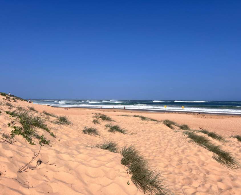 Long Reef Beach: A Complete Guide to Sydney's Coastal Gem - AdventureHQ
