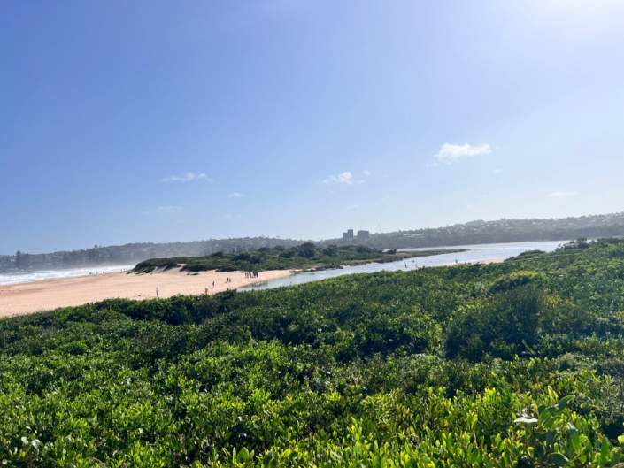 Long Reef Beach: A Complete Guide to Sydney's Coastal Gem - AdventureHQ