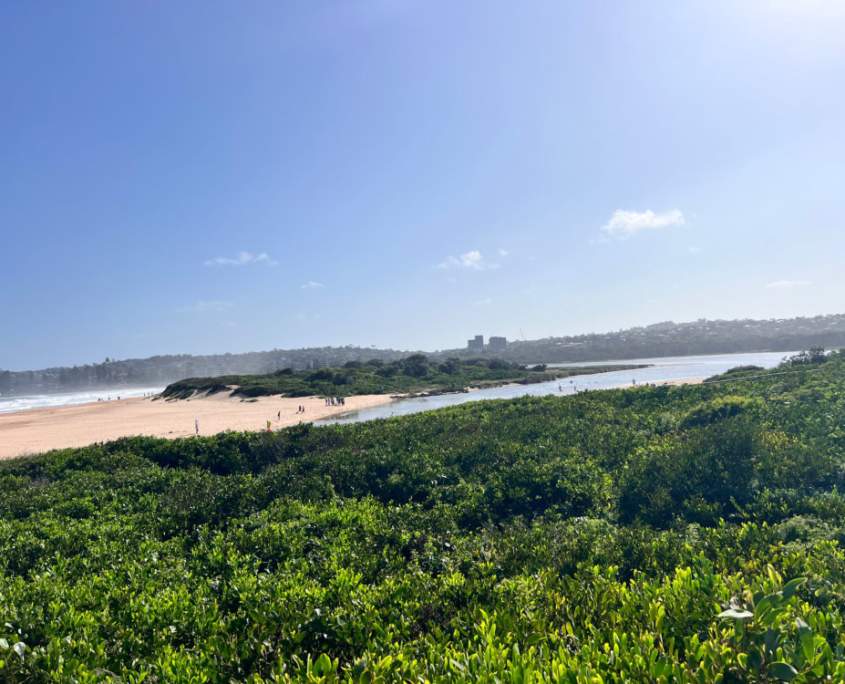 Long Reef Beach: A Complete Guide to Sydney's Coastal Gem - AdventureHQ