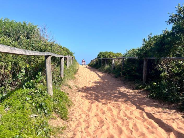 Long Reef Beach: A Complete Guide to Sydney's Coastal Gem - AdventureHQ