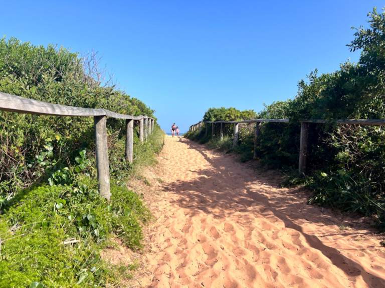 Long Reef Beach: A Complete Guide to Sydney's Coastal Gem - AdventureHQ