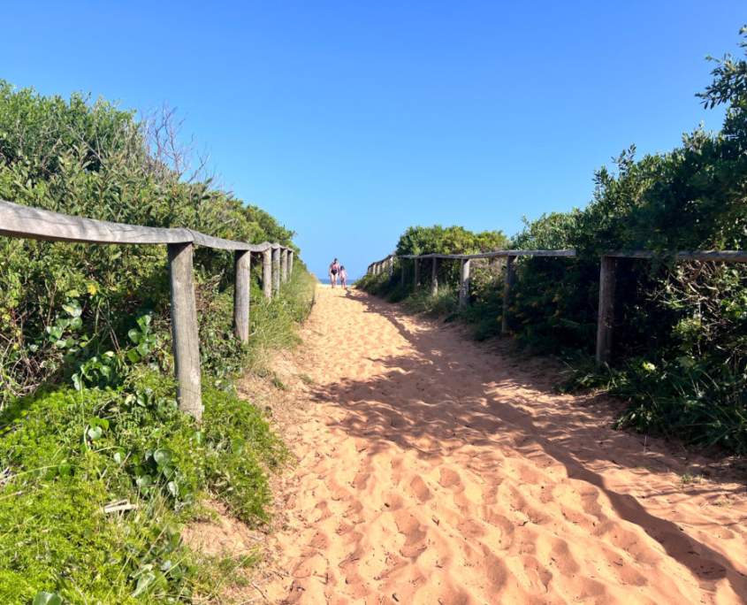 Long Reef Beach: A Complete Guide to Sydney's Coastal Gem - AdventureHQ