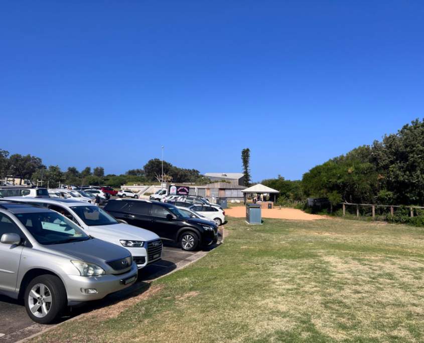Long Reef Beach: A Complete Guide to Sydney's Coastal Gem - AdventureHQ