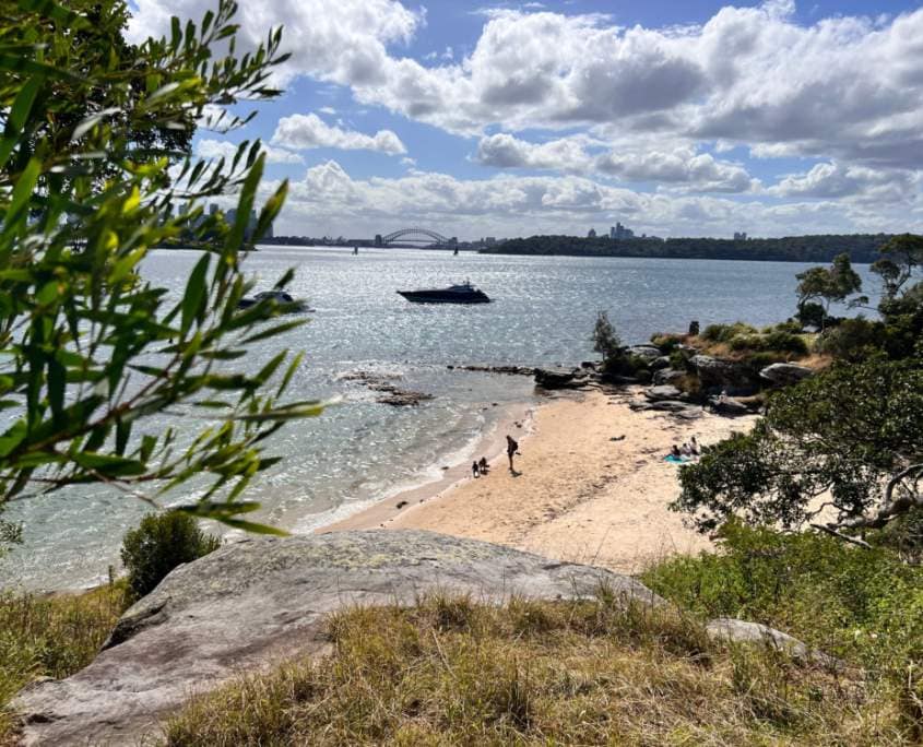 Milk Beach: A Hidden Gem in Sydney’s Eastern Suburbs - AdventureHQ