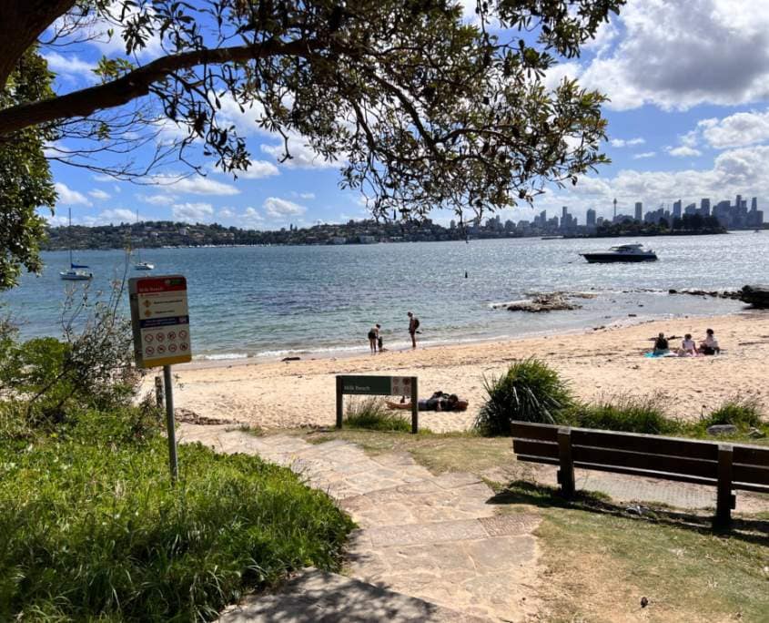 Milk Beach: A Hidden Gem in Sydney’s Eastern Suburbs - AdventureHQ