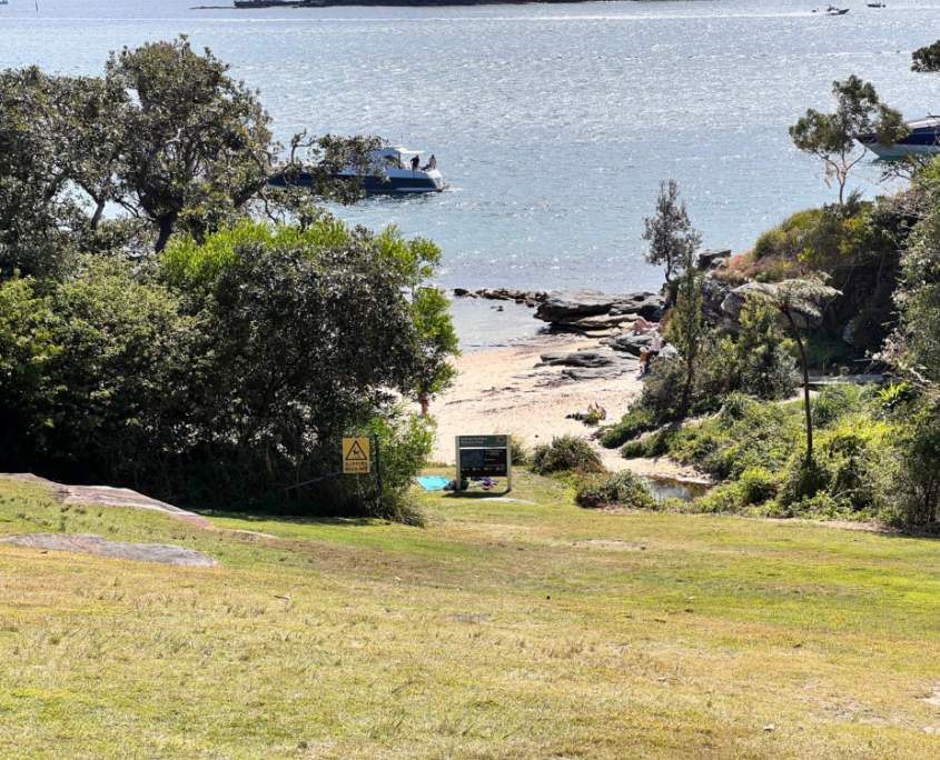 Milk Beach: A Hidden Gem in Sydney’s Eastern Suburbs - AdventureHQ