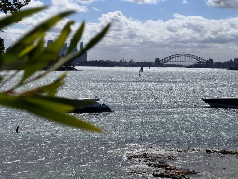 Milk Beach: A Hidden Gem in Sydney’s Eastern Suburbs - AdventureHQ
