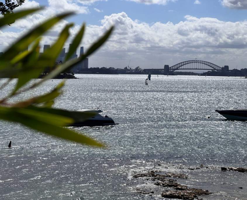 Milk Beach: A Hidden Gem in Sydney’s Eastern Suburbs - AdventureHQ