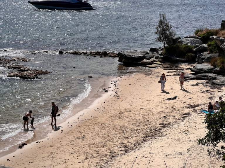 Milk Beach: A Hidden Gem in Sydney’s Eastern Suburbs - AdventureHQ