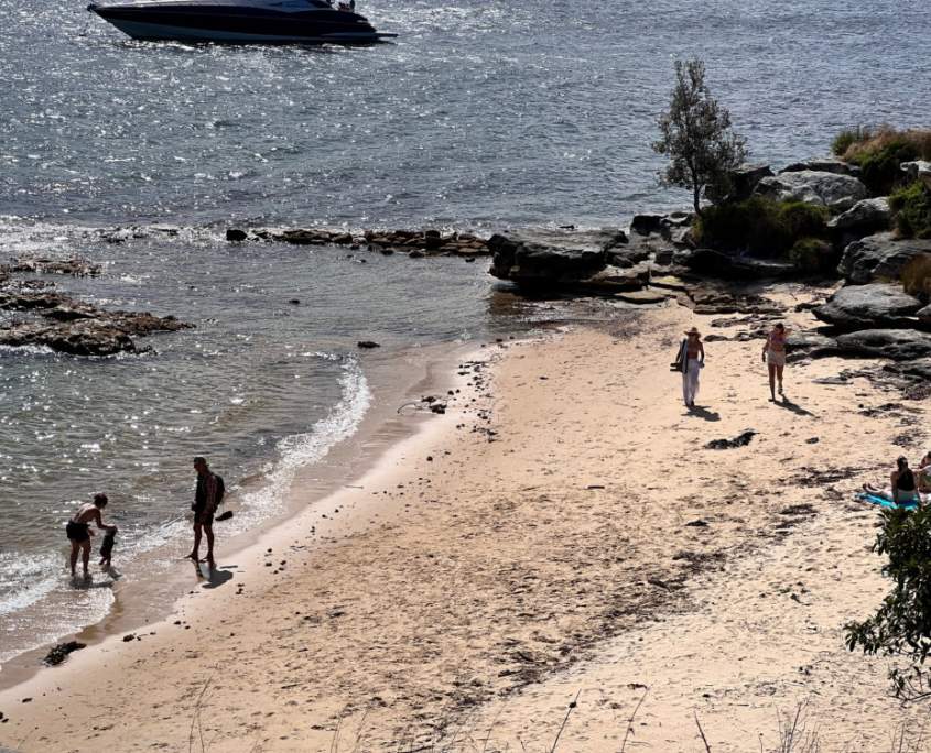 Milk Beach: A Hidden Gem in Sydney’s Eastern Suburbs - AdventureHQ